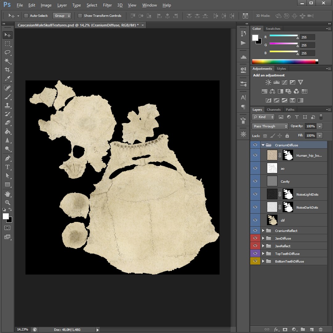 Caucasoid Male Skull 3d Max