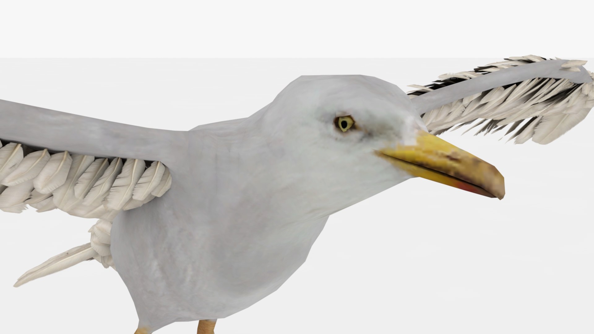 3D Seagull Rigged And Animated - TurboSquid 2348762