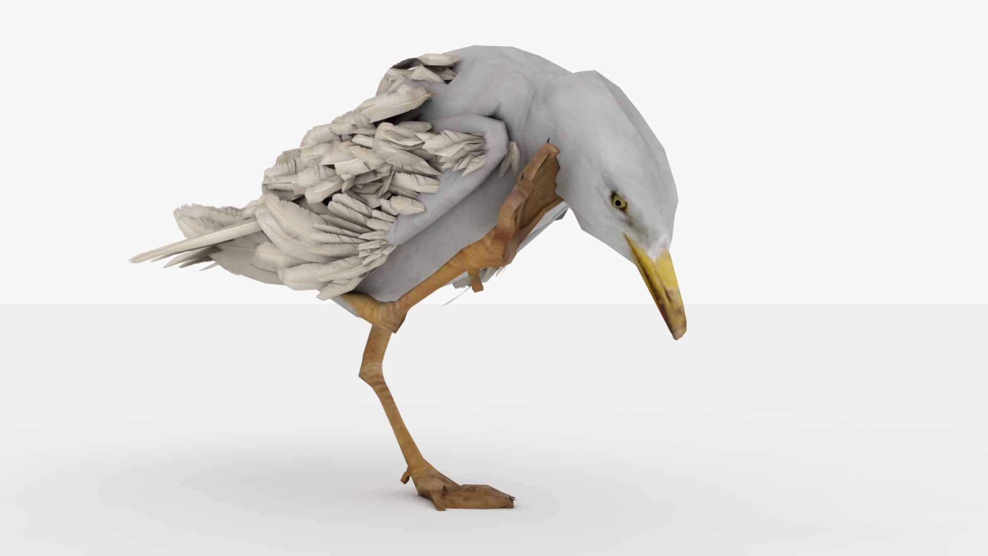 3D Seagull Rigged And Animated - TurboSquid 2348762
