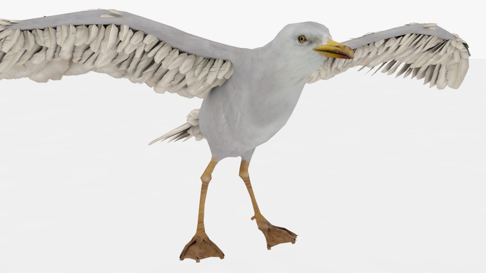 3D Seagull Rigged And Animated - TurboSquid 2348762