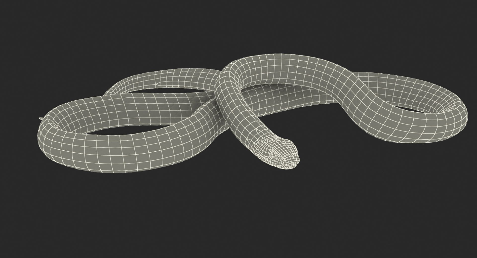 3D Coiled Black Snake - TurboSquid 1393916