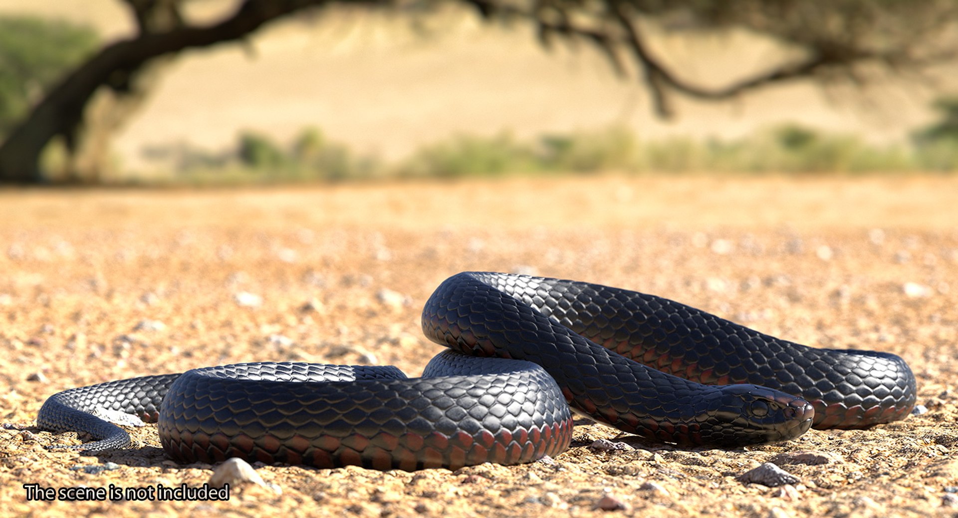 3D Coiled Black Snake - TurboSquid 1393916