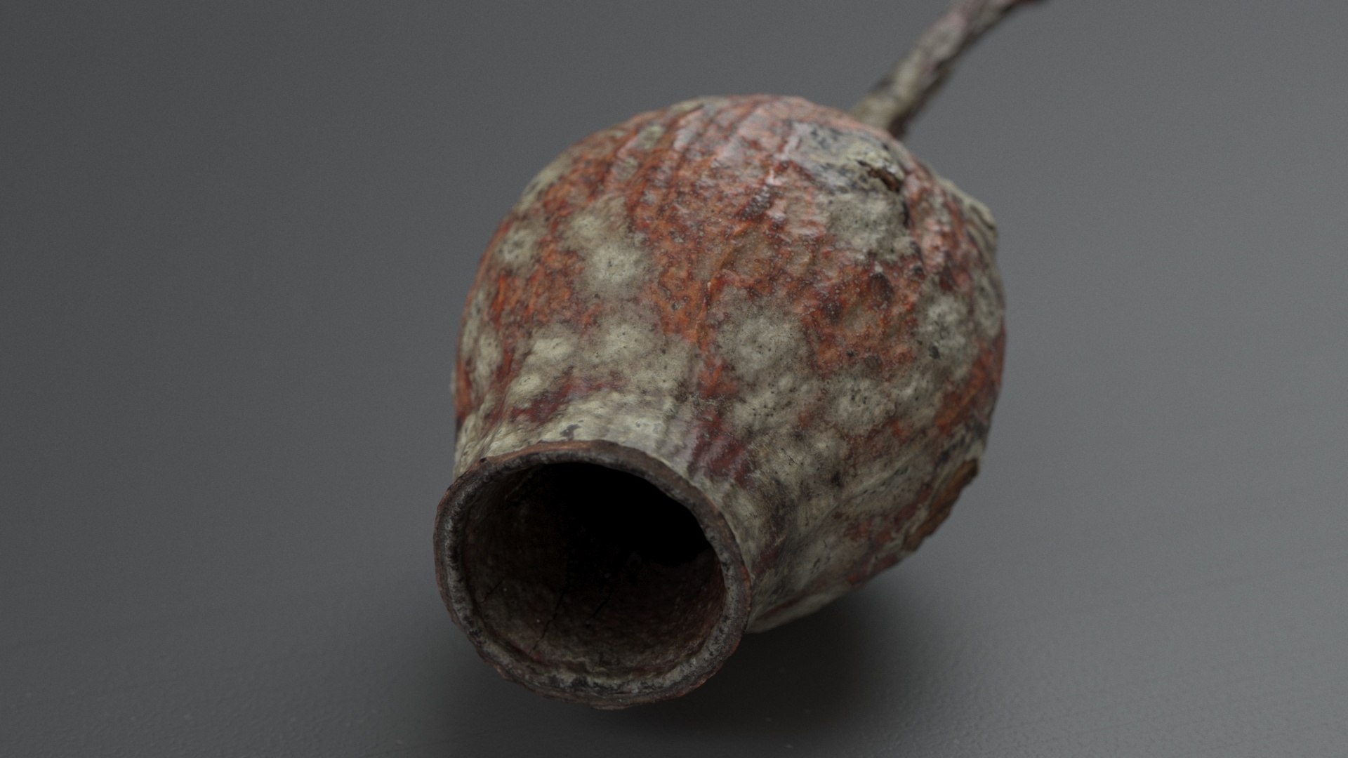 Gumnut 3D Model - TurboSquid 1550071