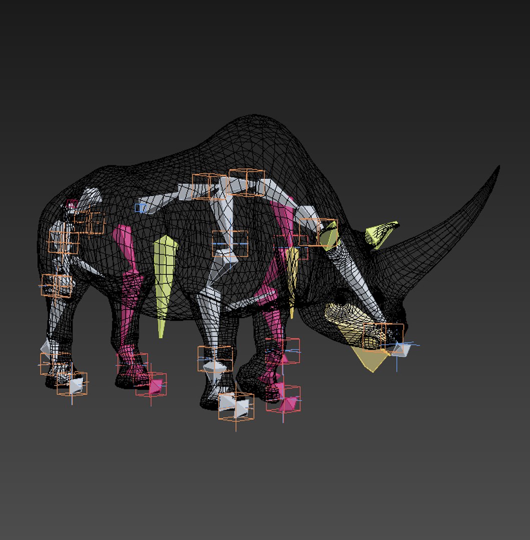 3d Model Rhino Animation