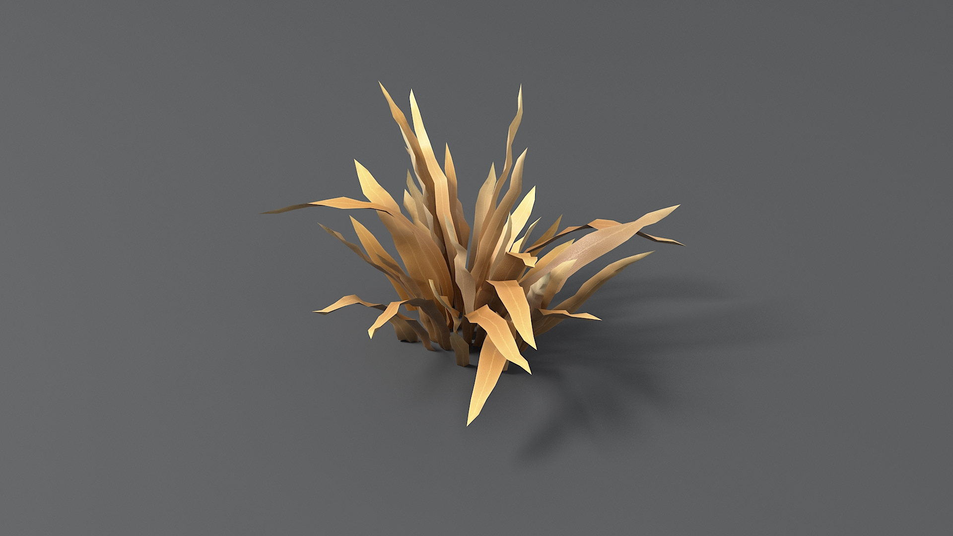 Cartoon Dry Grass 02 3D model - TurboSquid 2047527