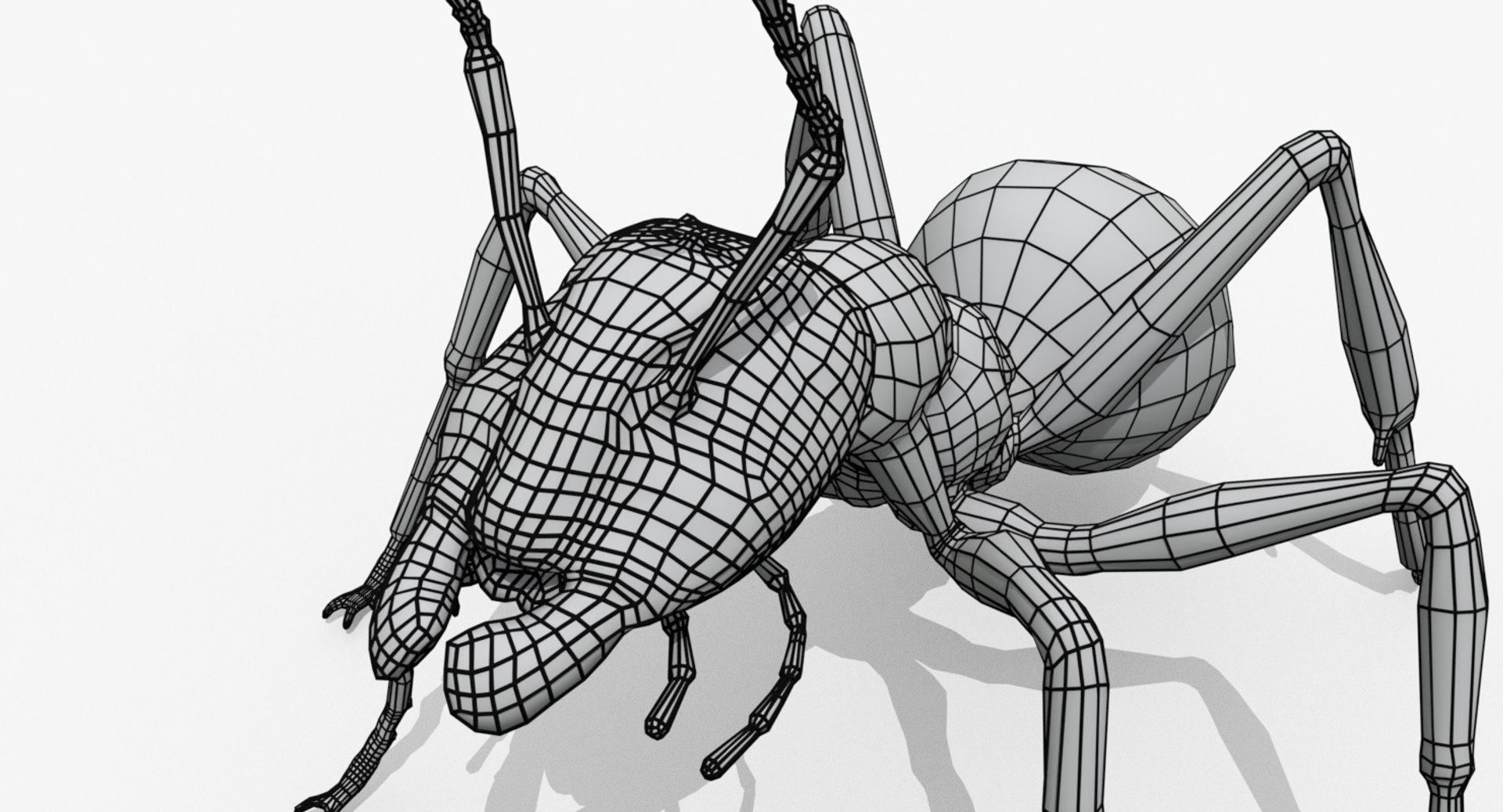 3D Model Ant - TurboSquid 1249942