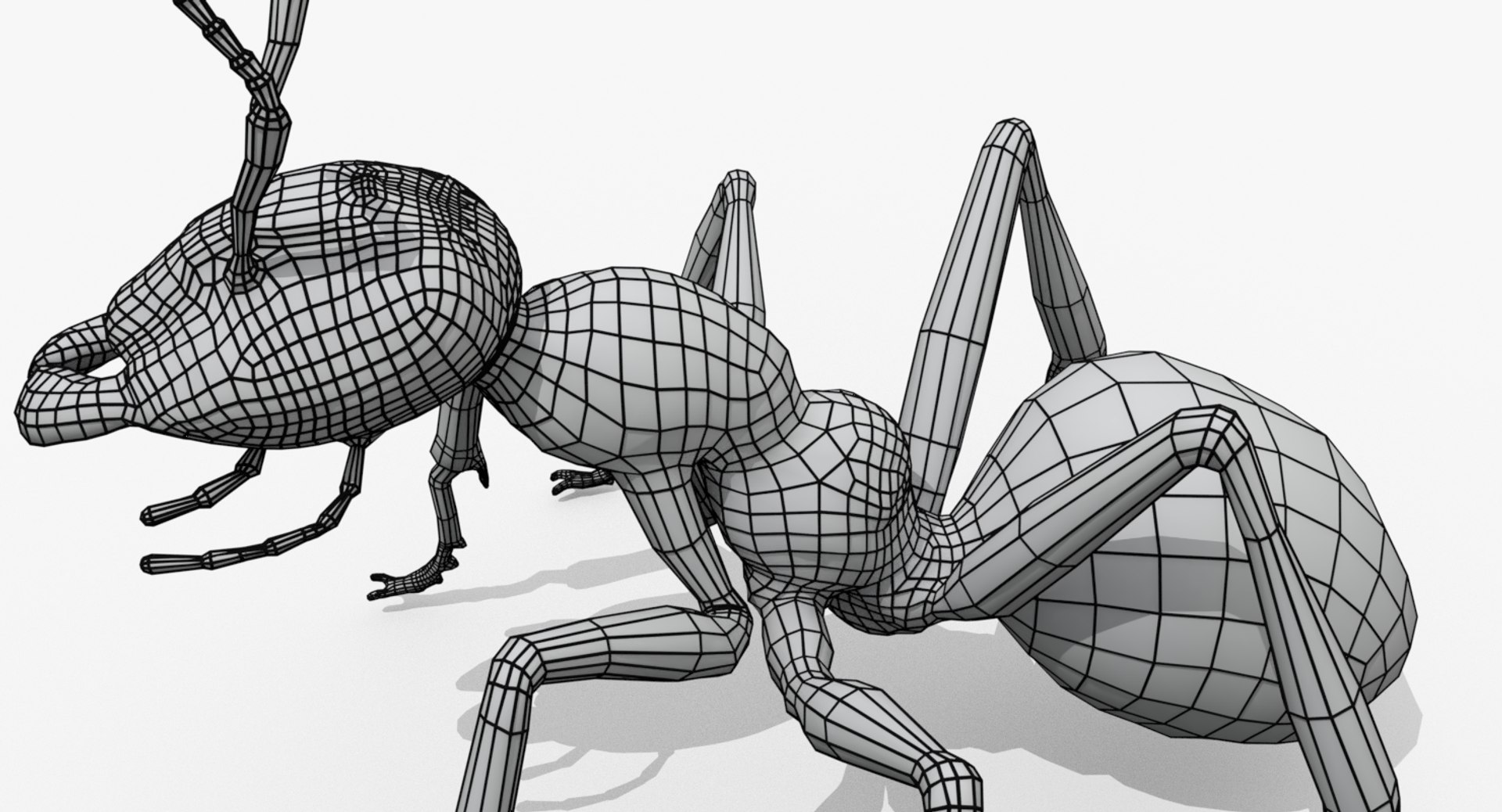 3D Model Ant - TurboSquid 1249942