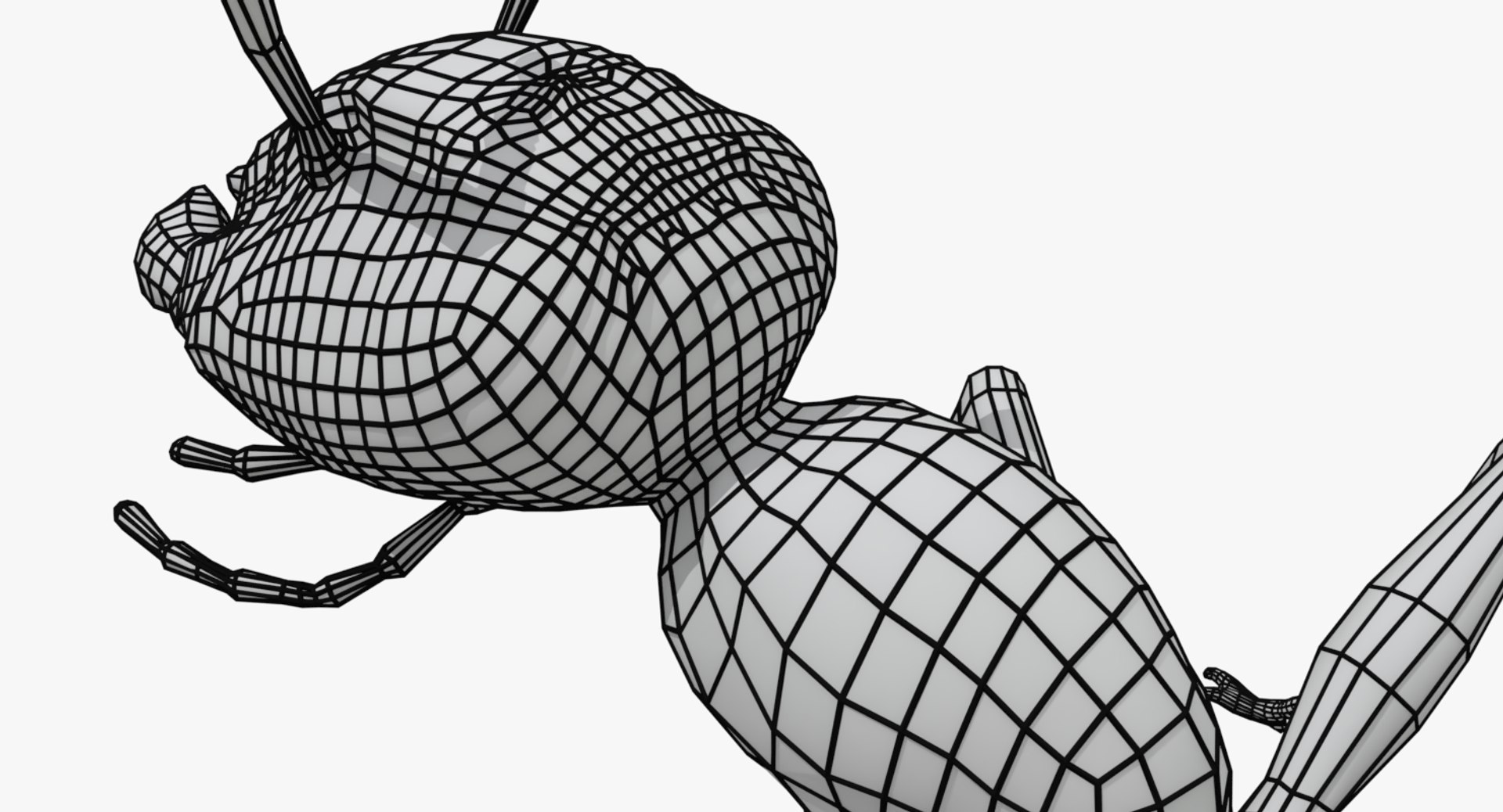 3D Model Ant - TurboSquid 1249942