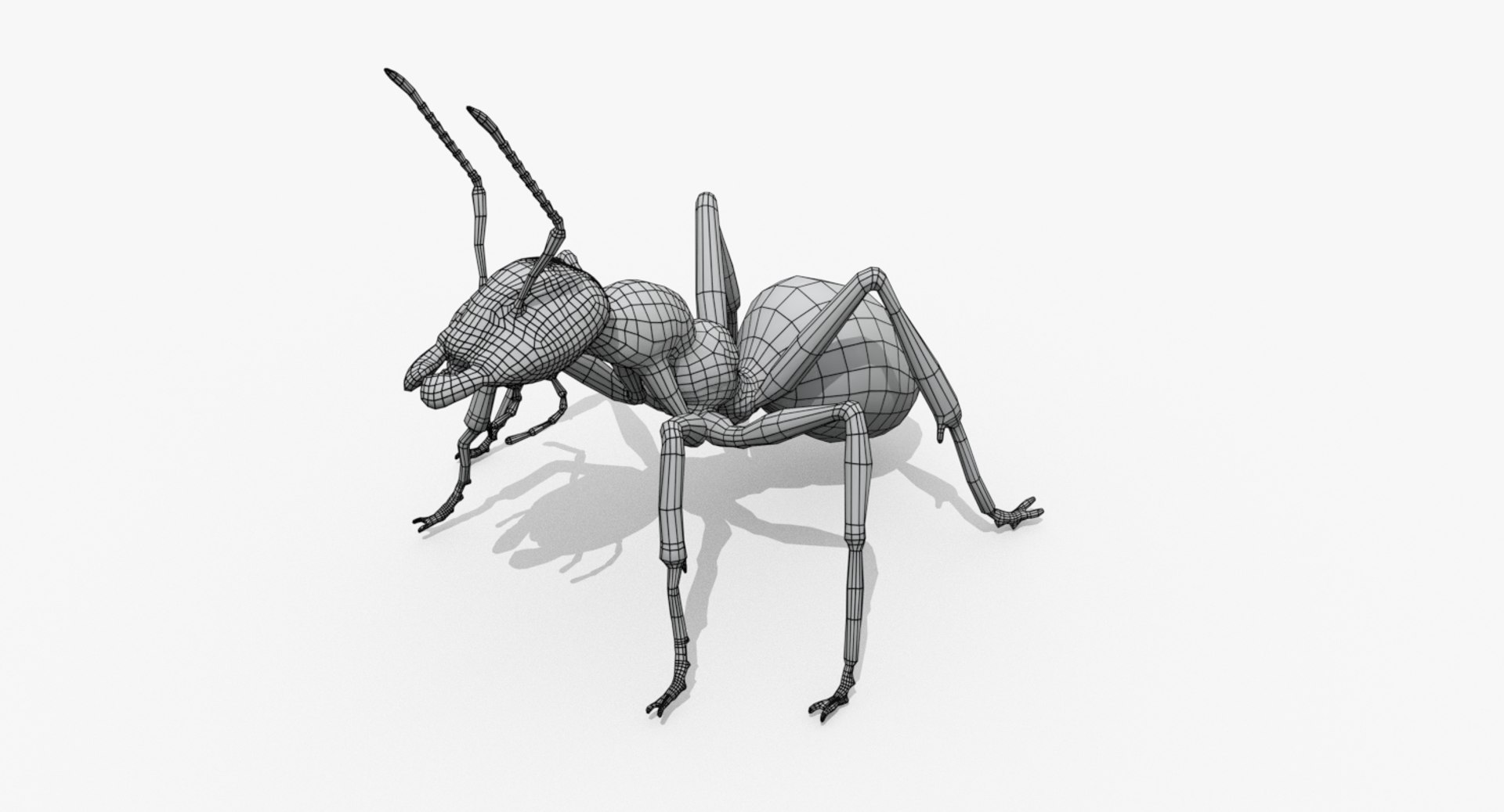 3D Model Ant - TurboSquid 1249942