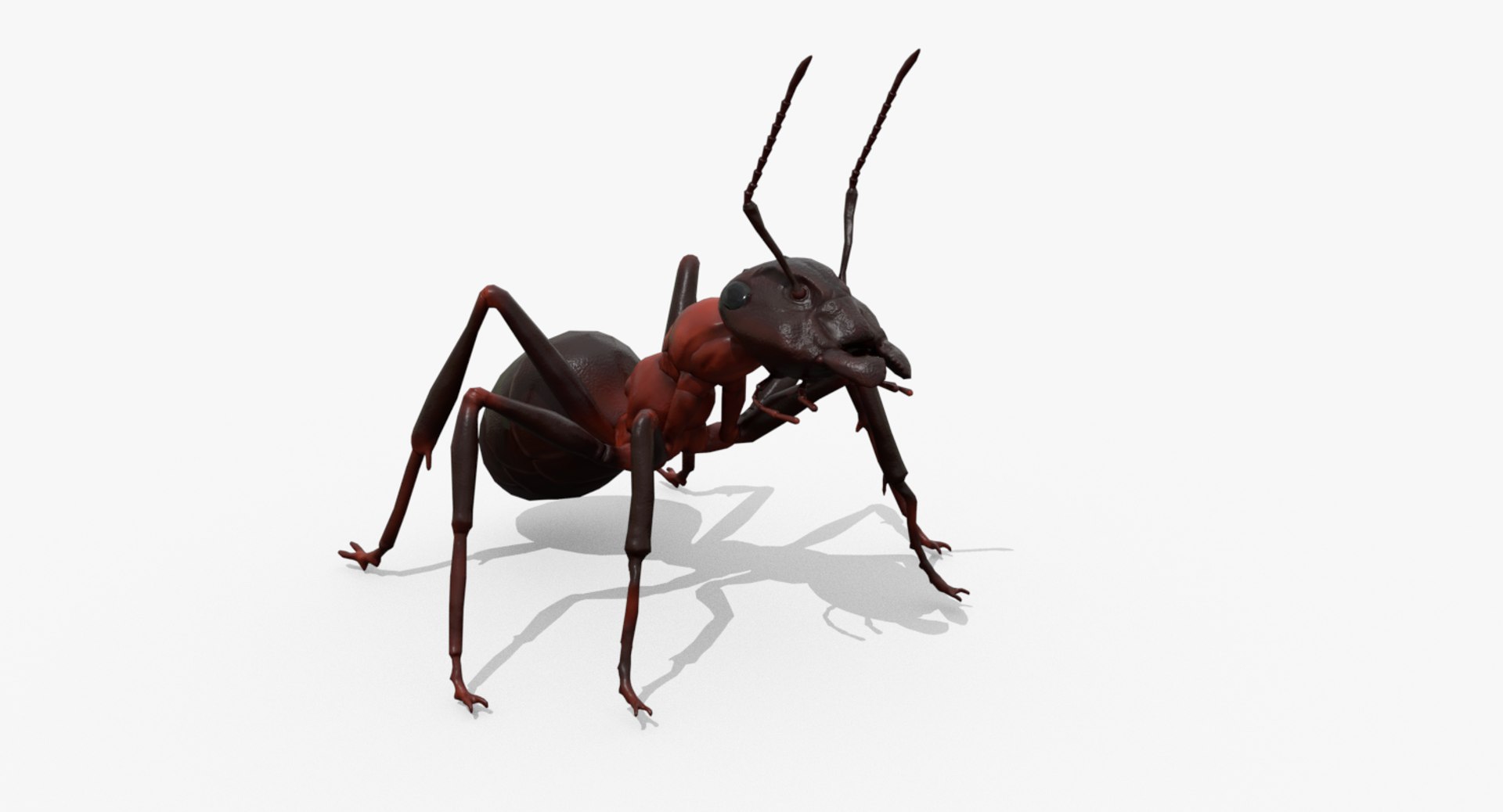 3D Model Ant - TurboSquid 1249942