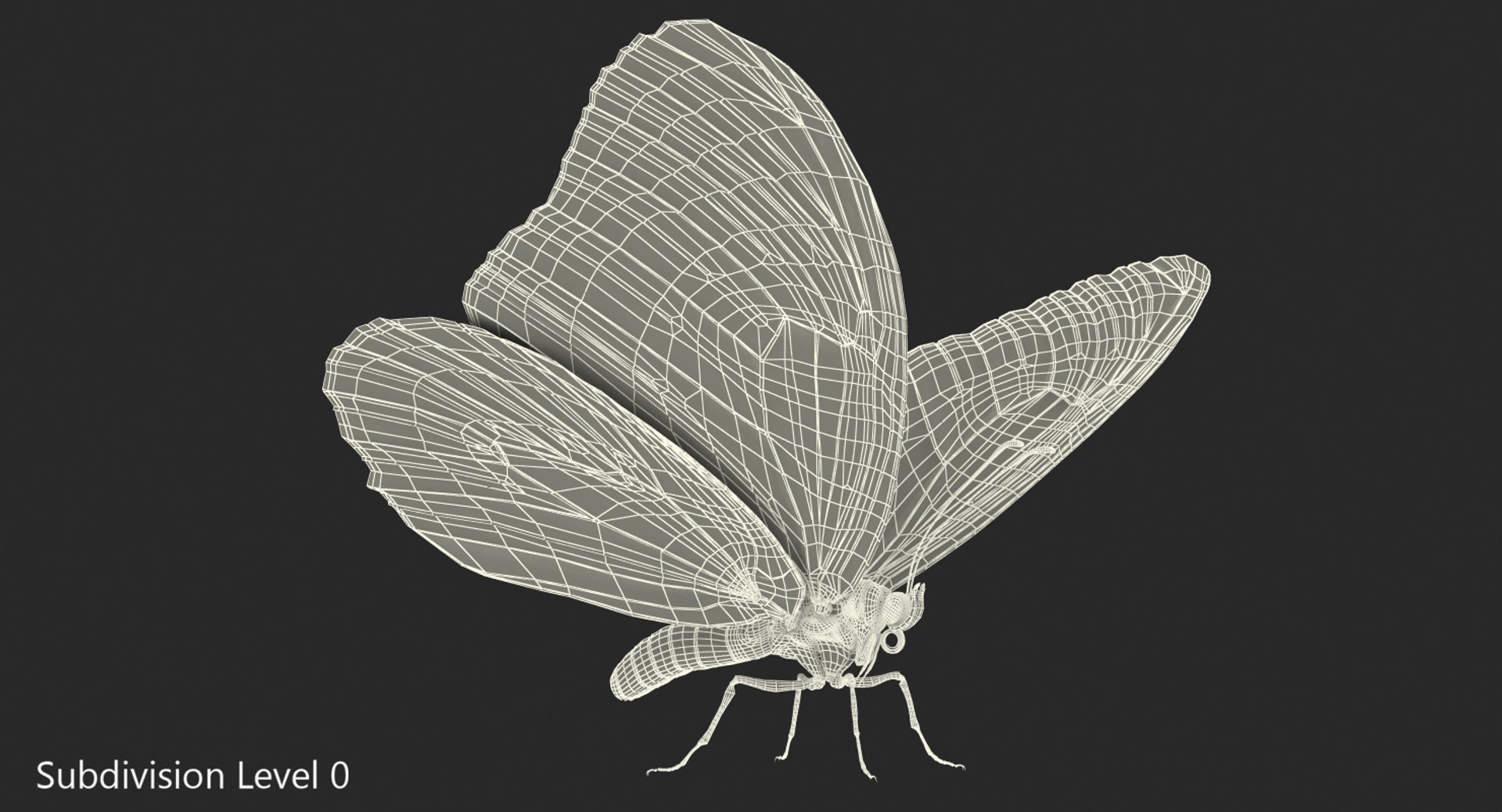 Monarch Butterfly Fur Rigged 3D Model - TurboSquid 1259024