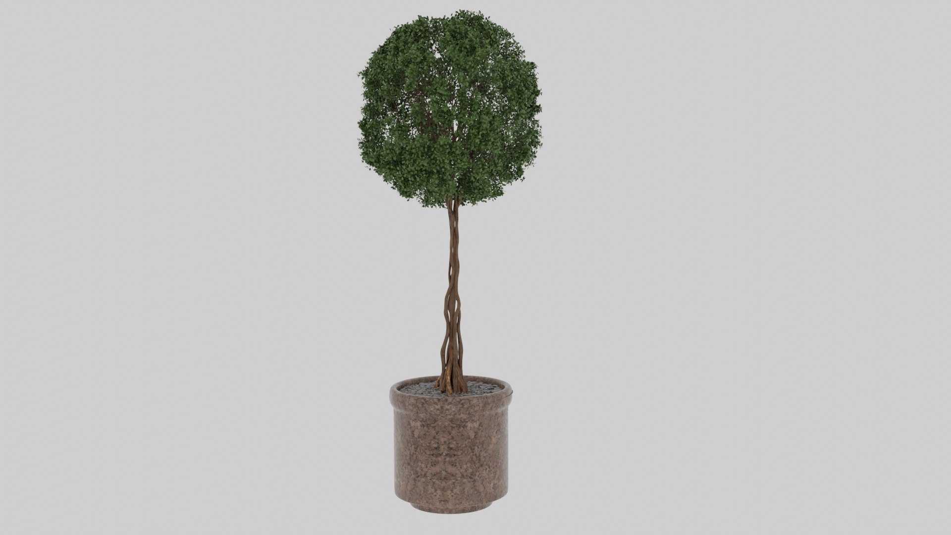 3D Bonsai Home Green Tree Design Model - TurboSquid 2055046