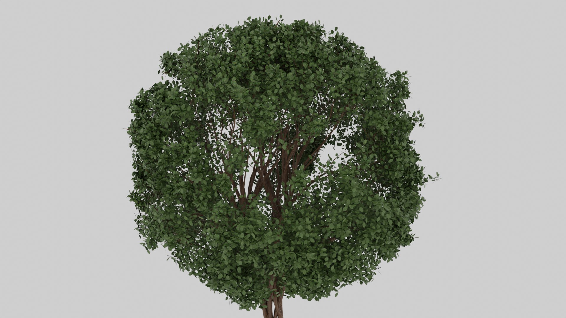 3D Bonsai Home Green Tree Design Model - TurboSquid 2055046