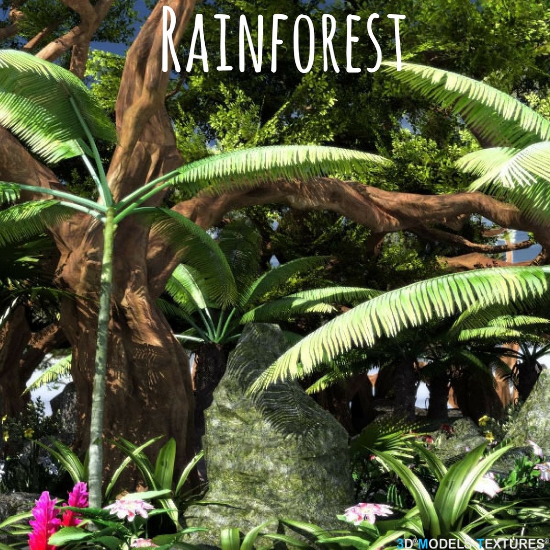 Rainforest forest 3D model - TurboSquid 1211958