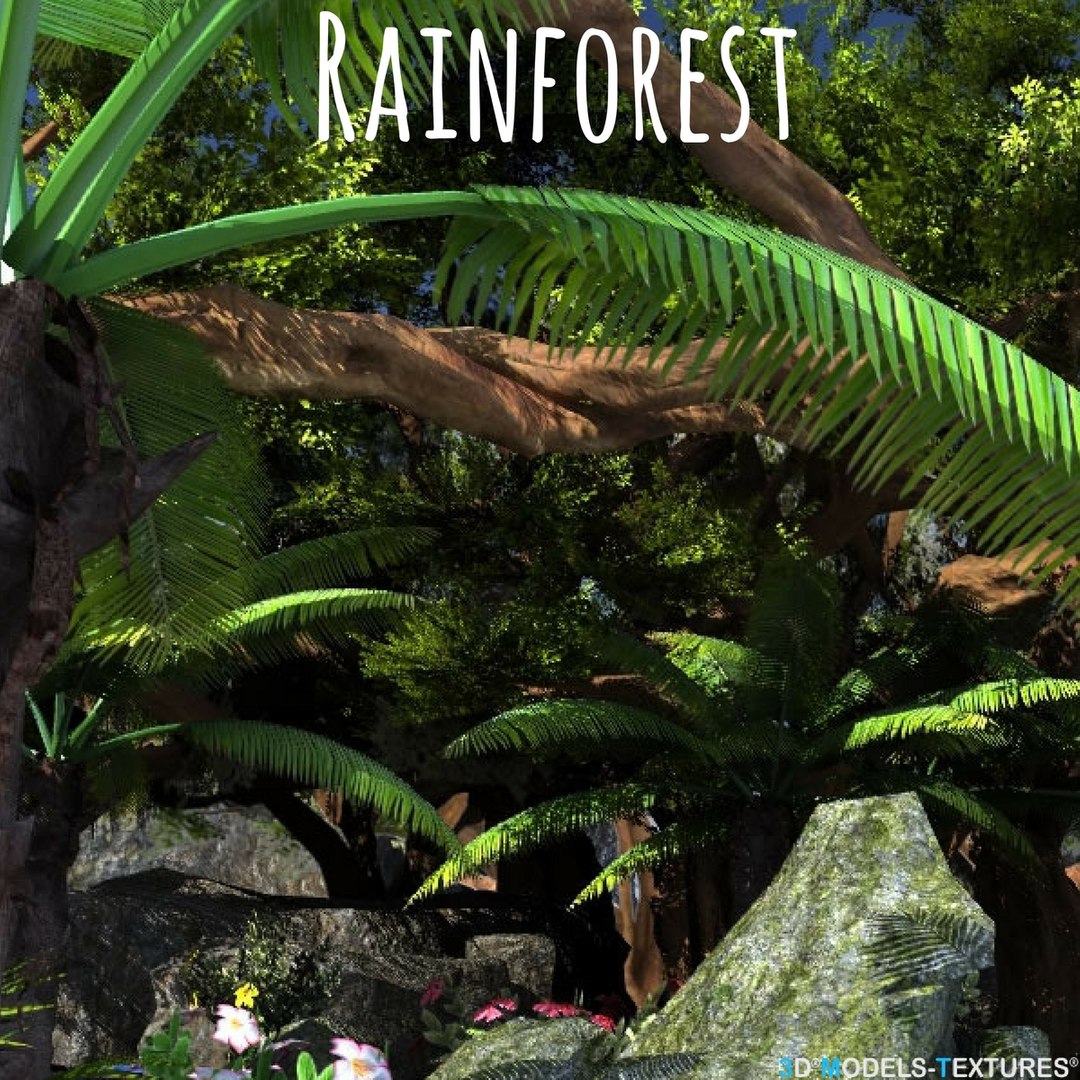 Rainforest forest 3D model - TurboSquid 1211958