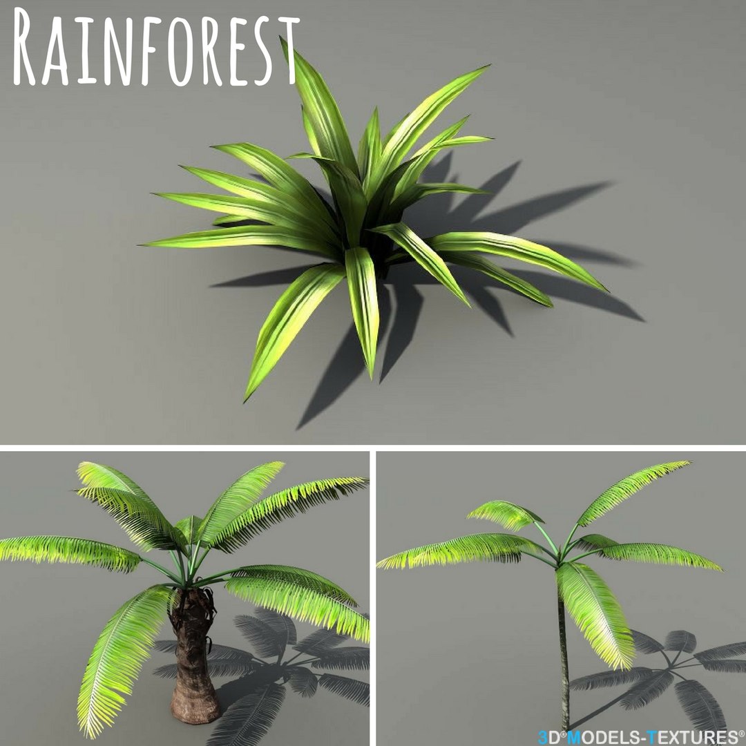 Rainforest forest 3D model - TurboSquid 1211958
