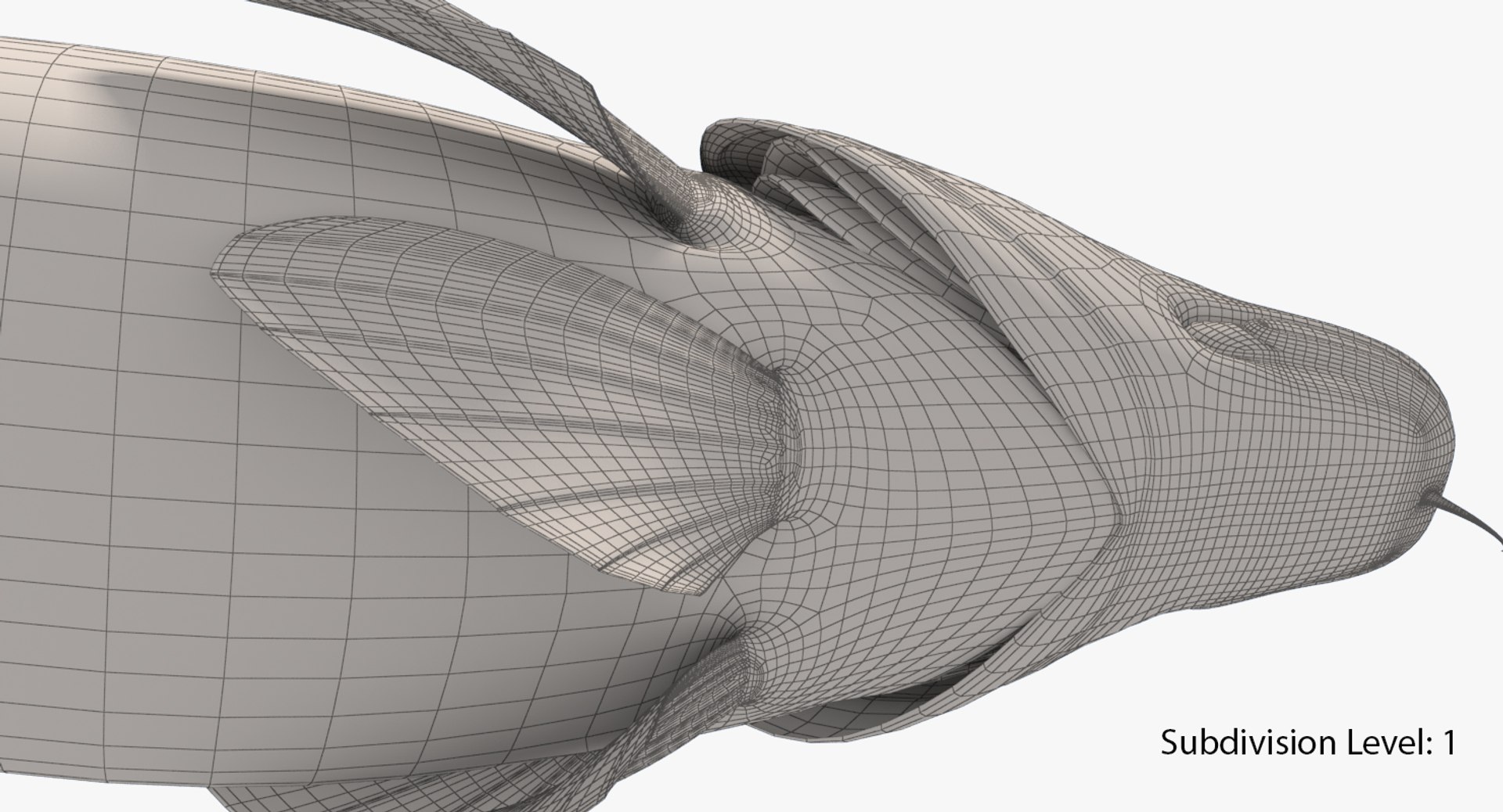 3d model cod animation