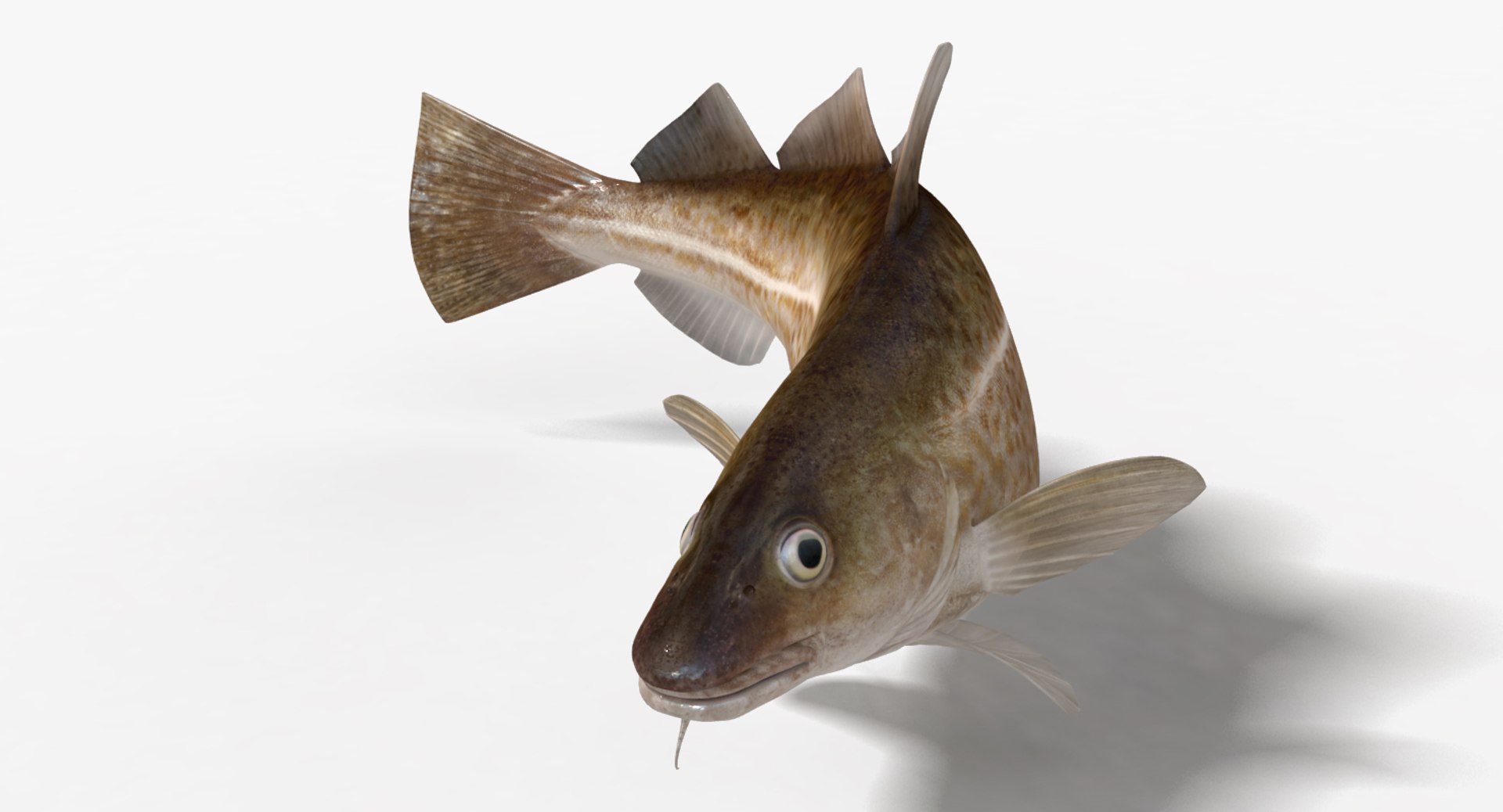 3d Model Cod Animation