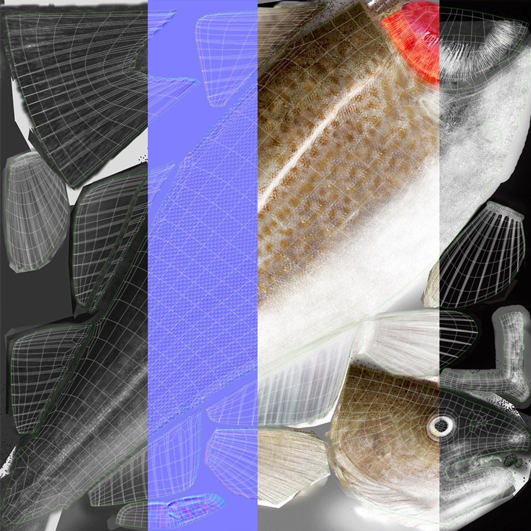 3d model cod animation