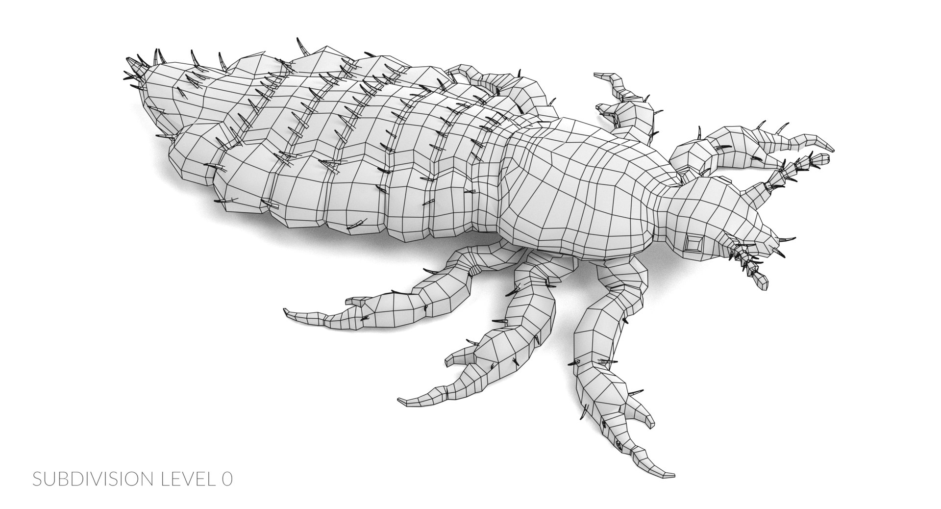 Head Louse Male Model - TurboSquid 1422998