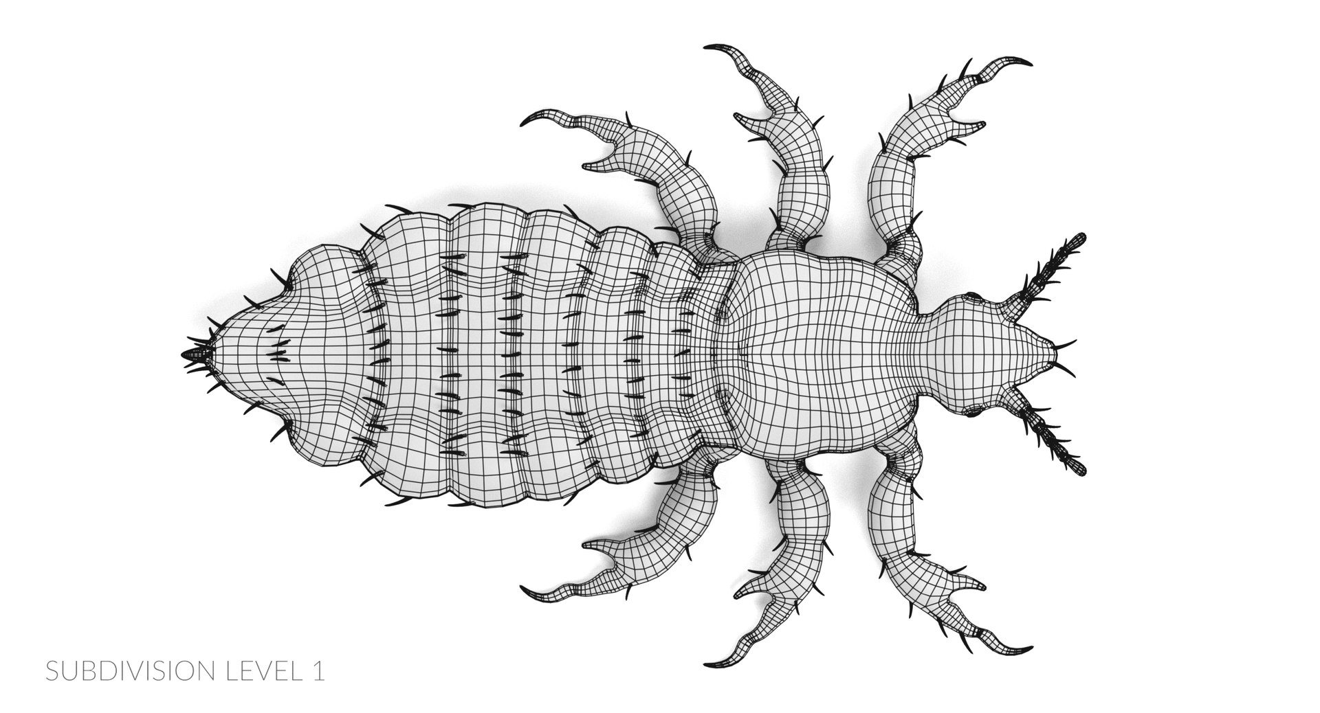 Head Louse Male Model - TurboSquid 1422998