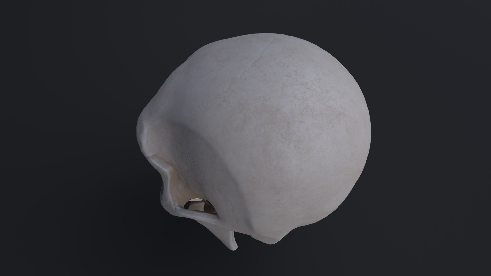 3D Stylized Skull - TurboSquid 1788165