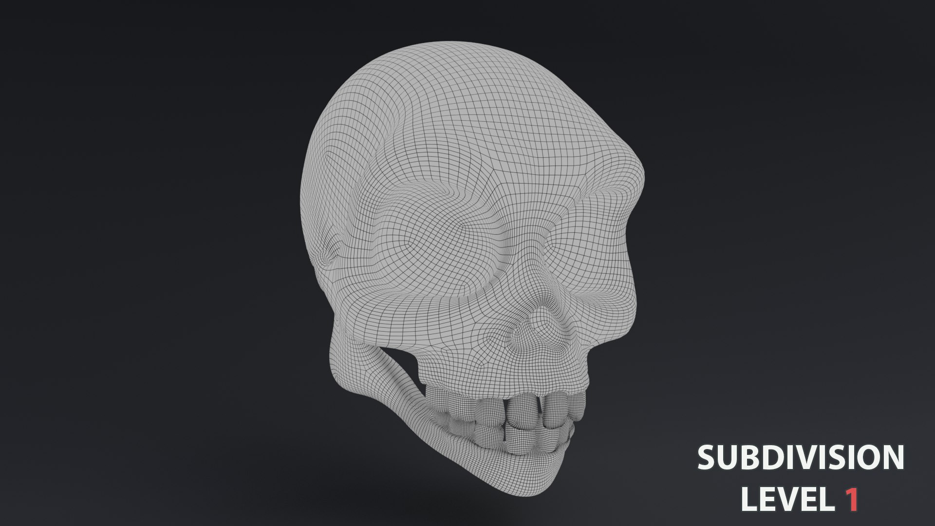 3D Stylized Skull - TurboSquid 1788165