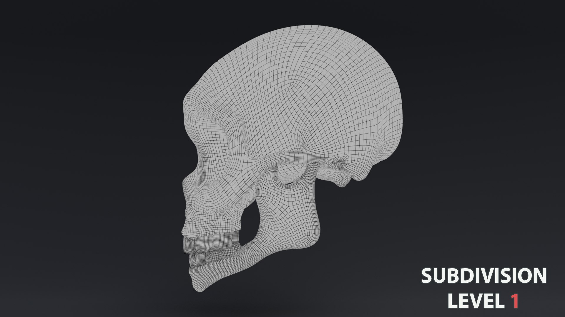 3D Stylized Skull - TurboSquid 1788165