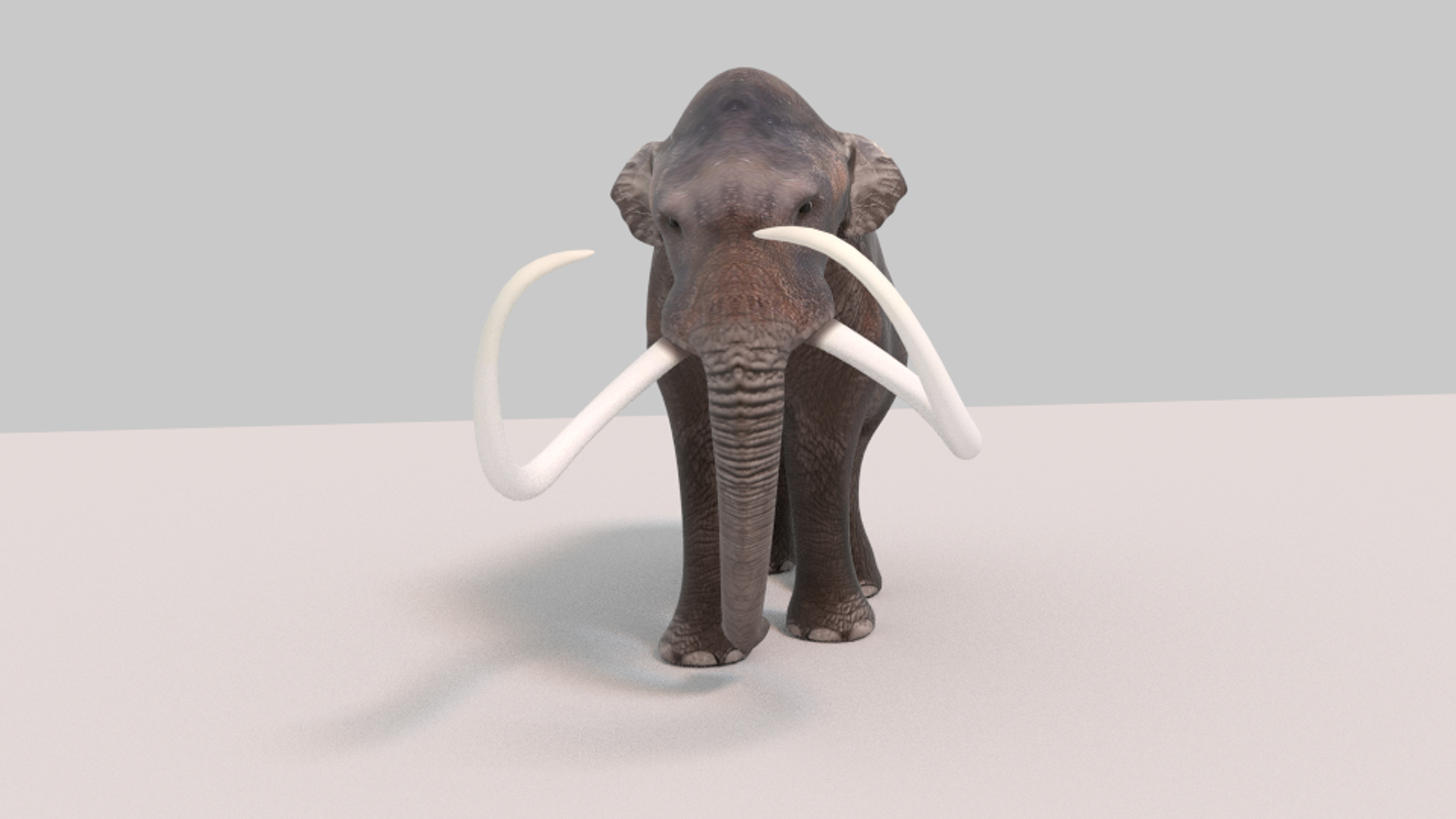 3d Mammoth Mammuthus Columbi Model