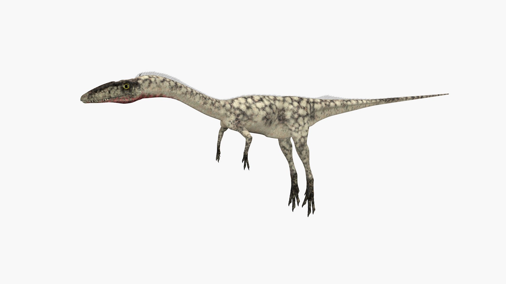 3D Coelophysis Dinosaur - TurboSquid 2341310