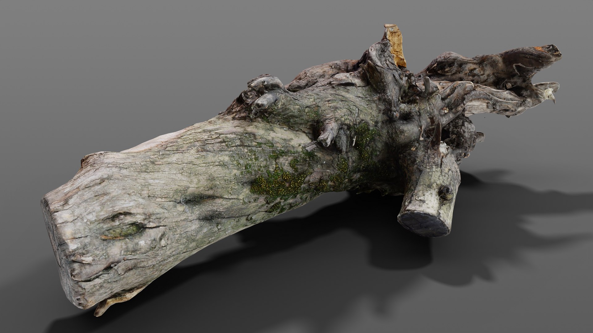 Free 3D Old Snag - TurboSquid 1892384