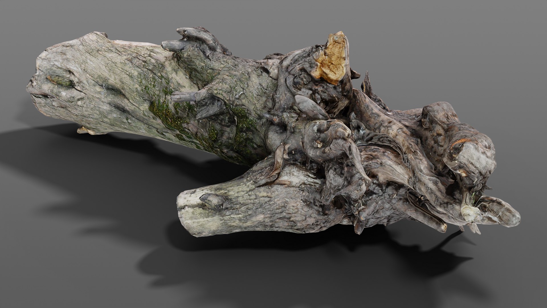 Free 3D Old Snag - TurboSquid 1892384