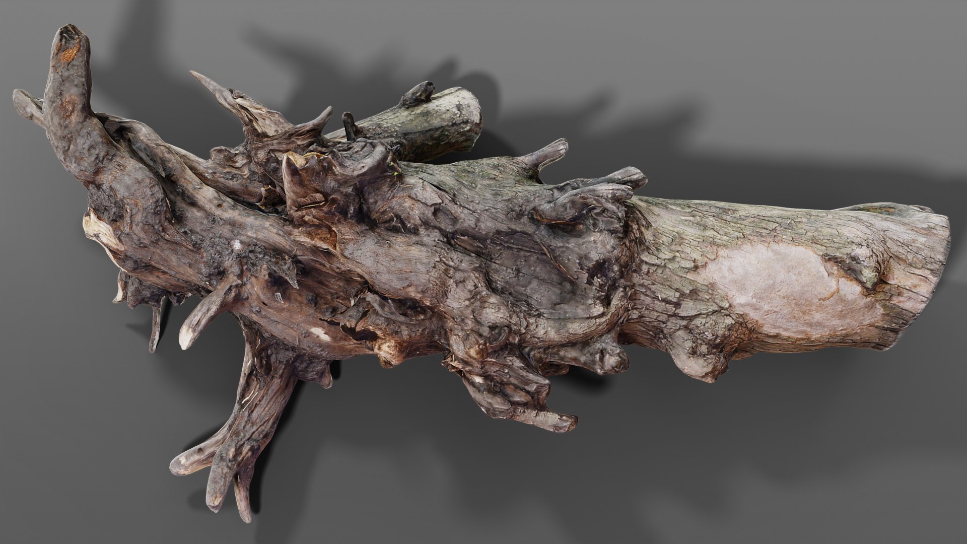 Free 3D Old Snag - TurboSquid 1892384