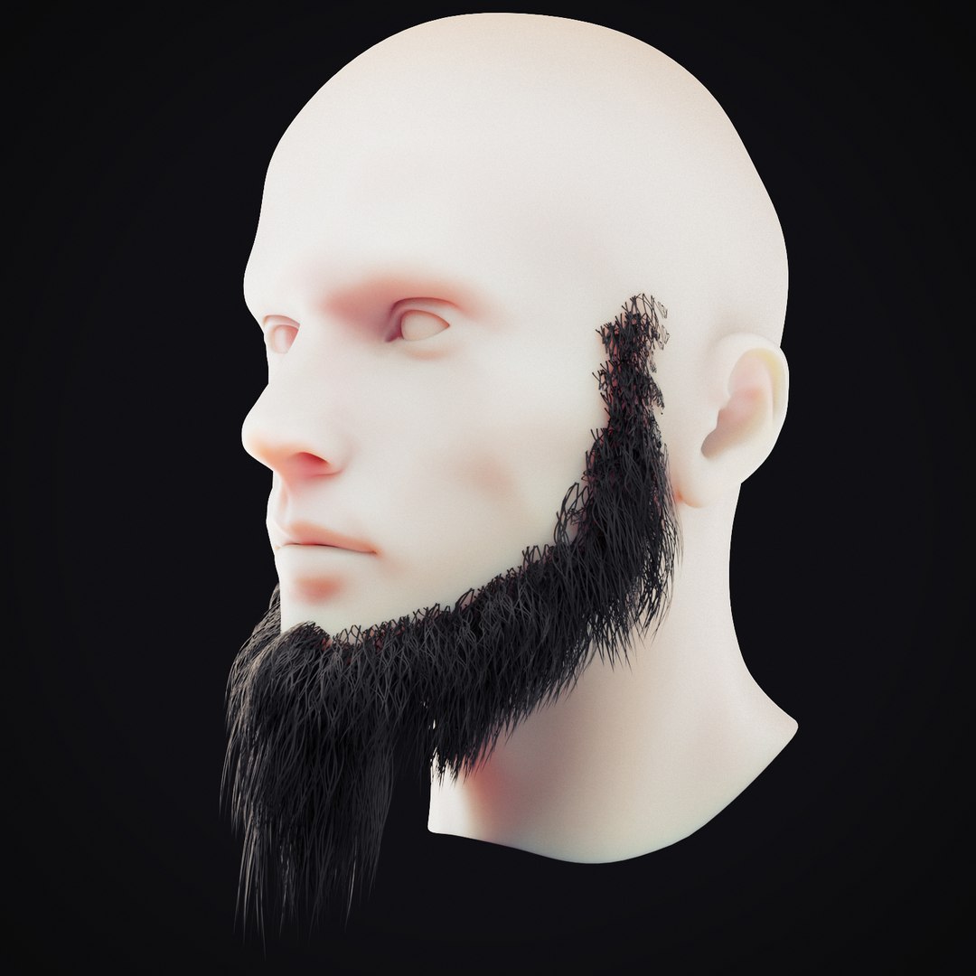 Beard 5 3D Model - TurboSquid 1489650