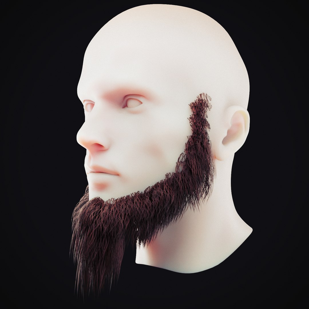 Beard 5 3D Model - TurboSquid 1489650