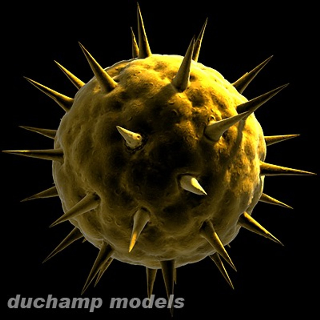 max spherical virus