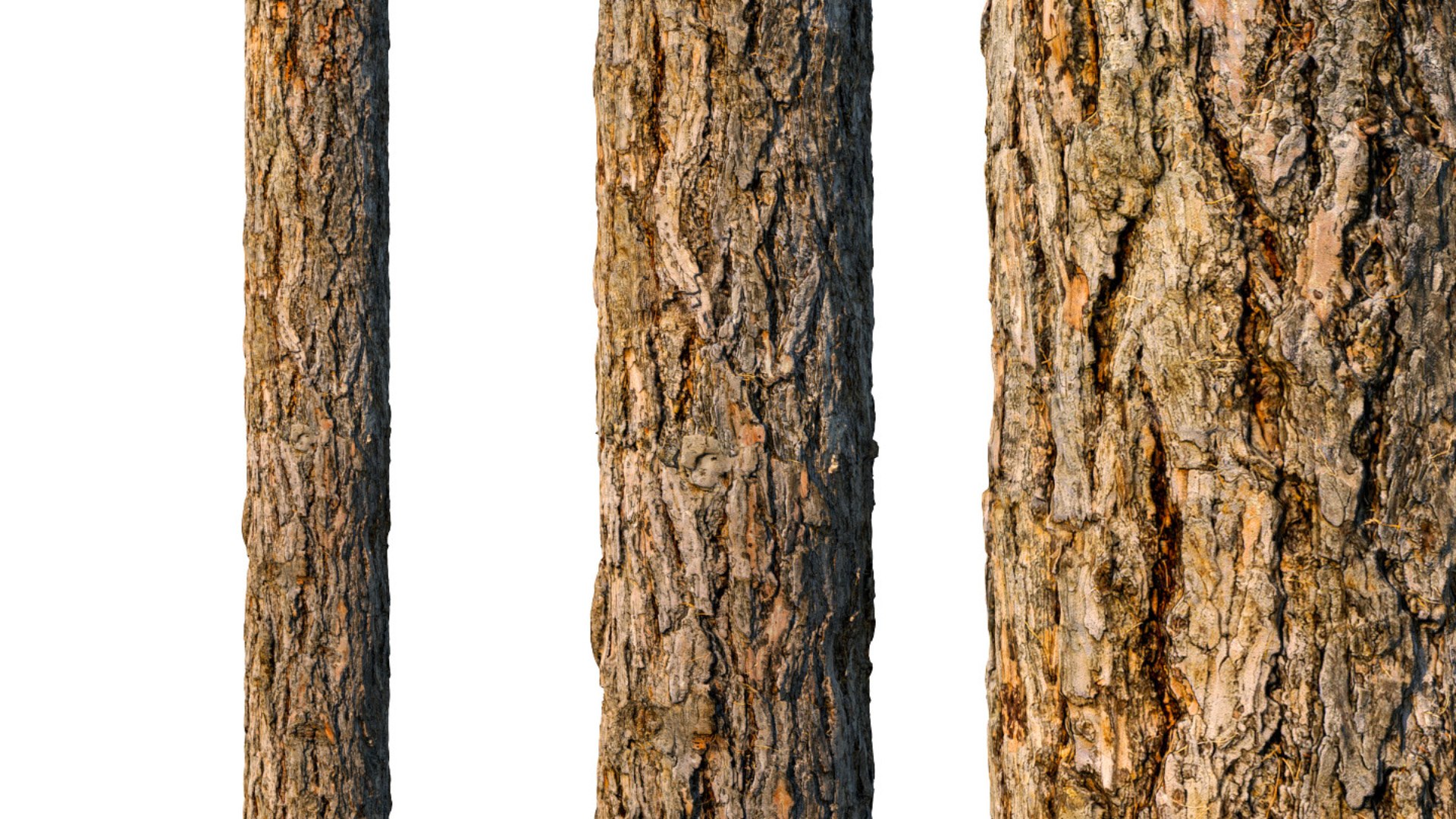 3D 4k Larch Bark Material 01 Model - TurboSquid 1984572