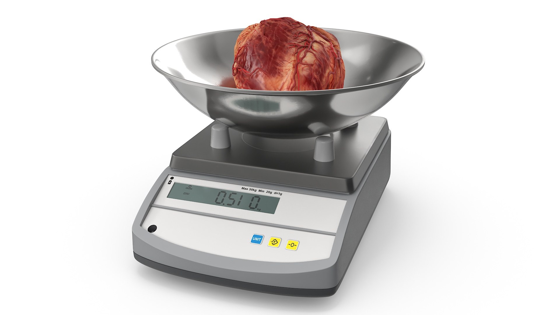 3D Heart On Scales Model - TurboSquid 2384533