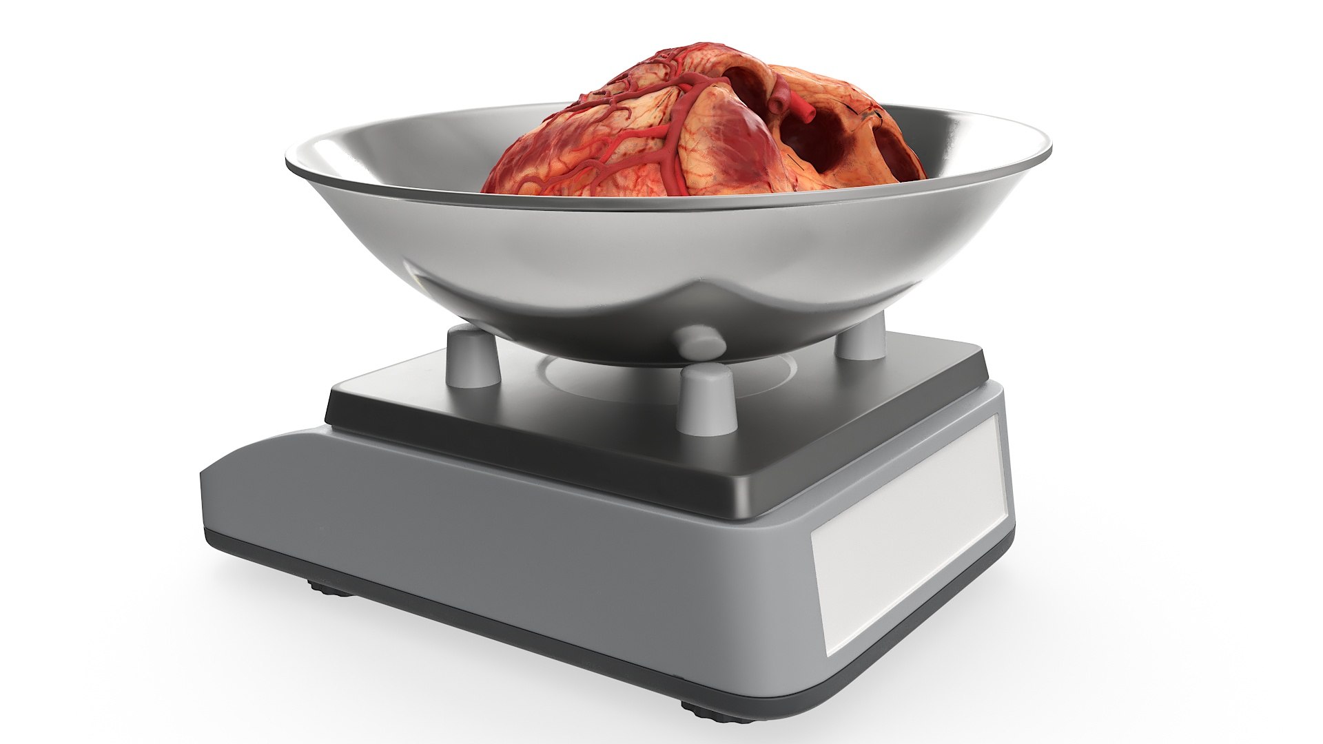 3D Heart On Scales Model - TurboSquid 2384533