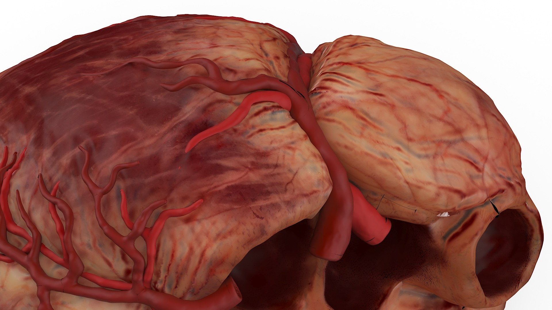 3D Heart On Scales Model - TurboSquid 2384533