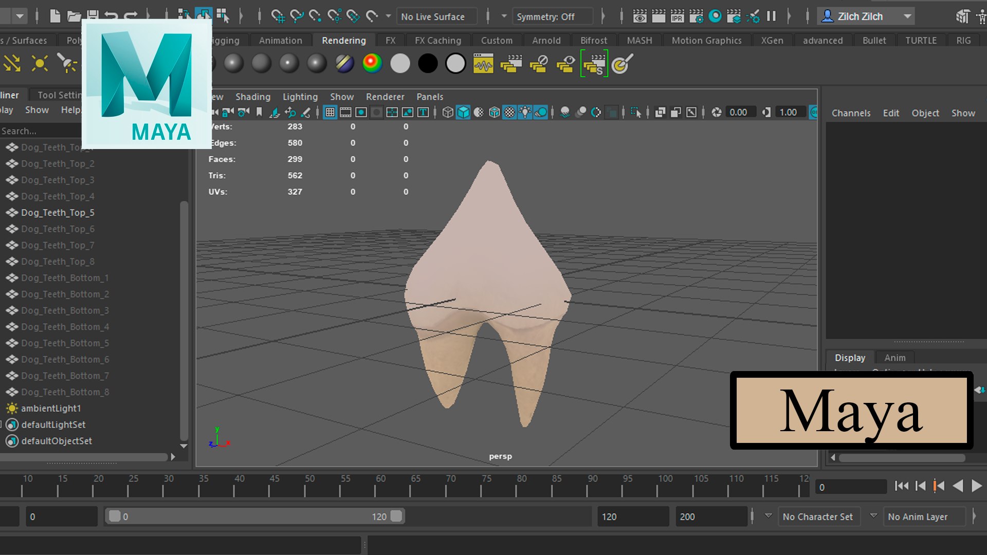 Human Teeth 3D Model - TurboSquid 1701926