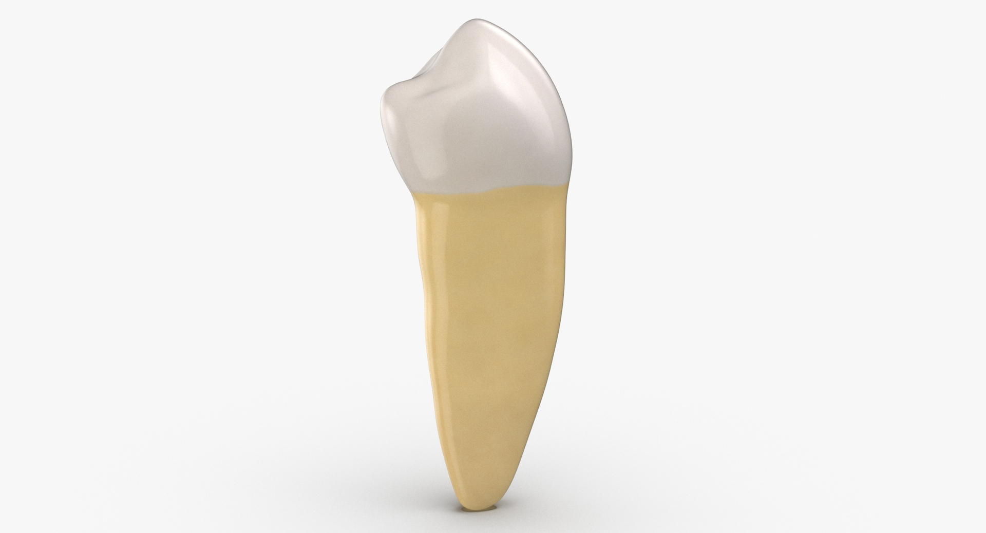 modelo 3d Colección de dientes limpios y dañados de premolares humanos ...