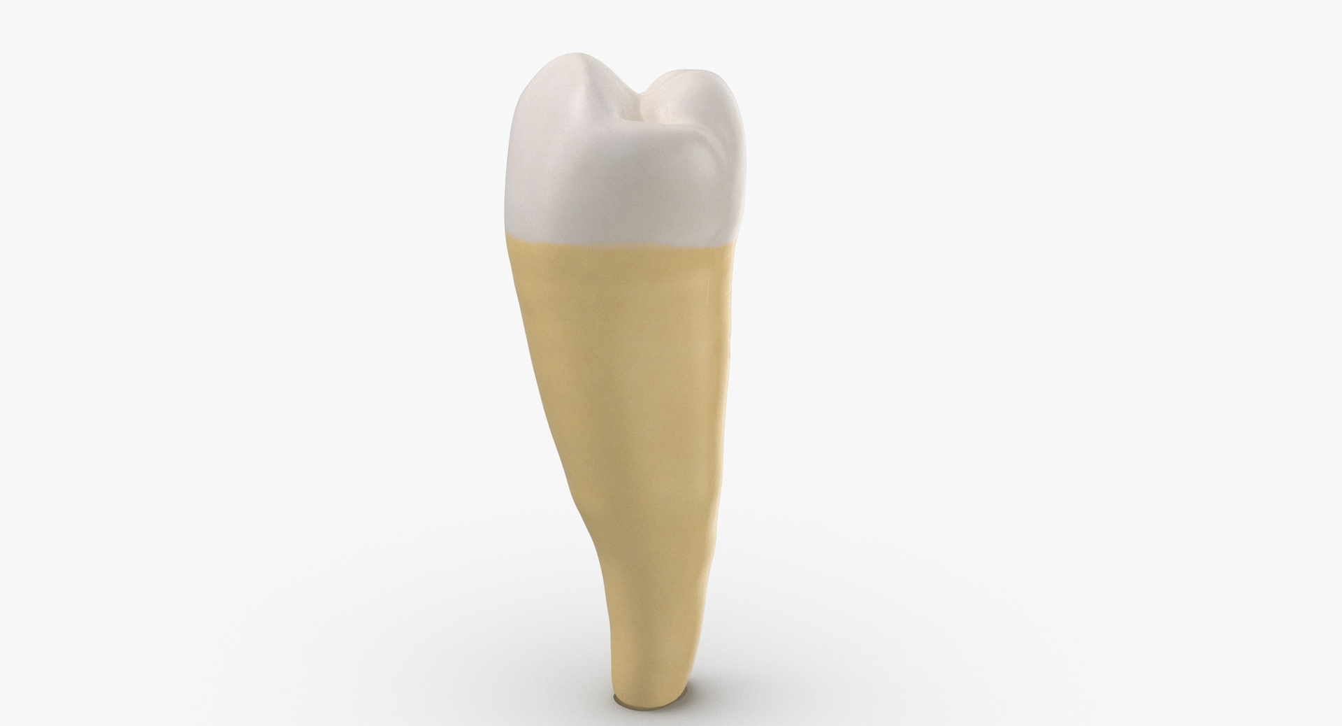 modelo 3d Colección de dientes limpios y dañados de premolares humanos ...