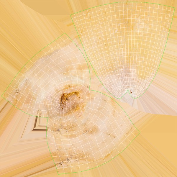 Coleção Dentes de Pré-molares Humanos Limpos e Danificados - 12 modelos ...