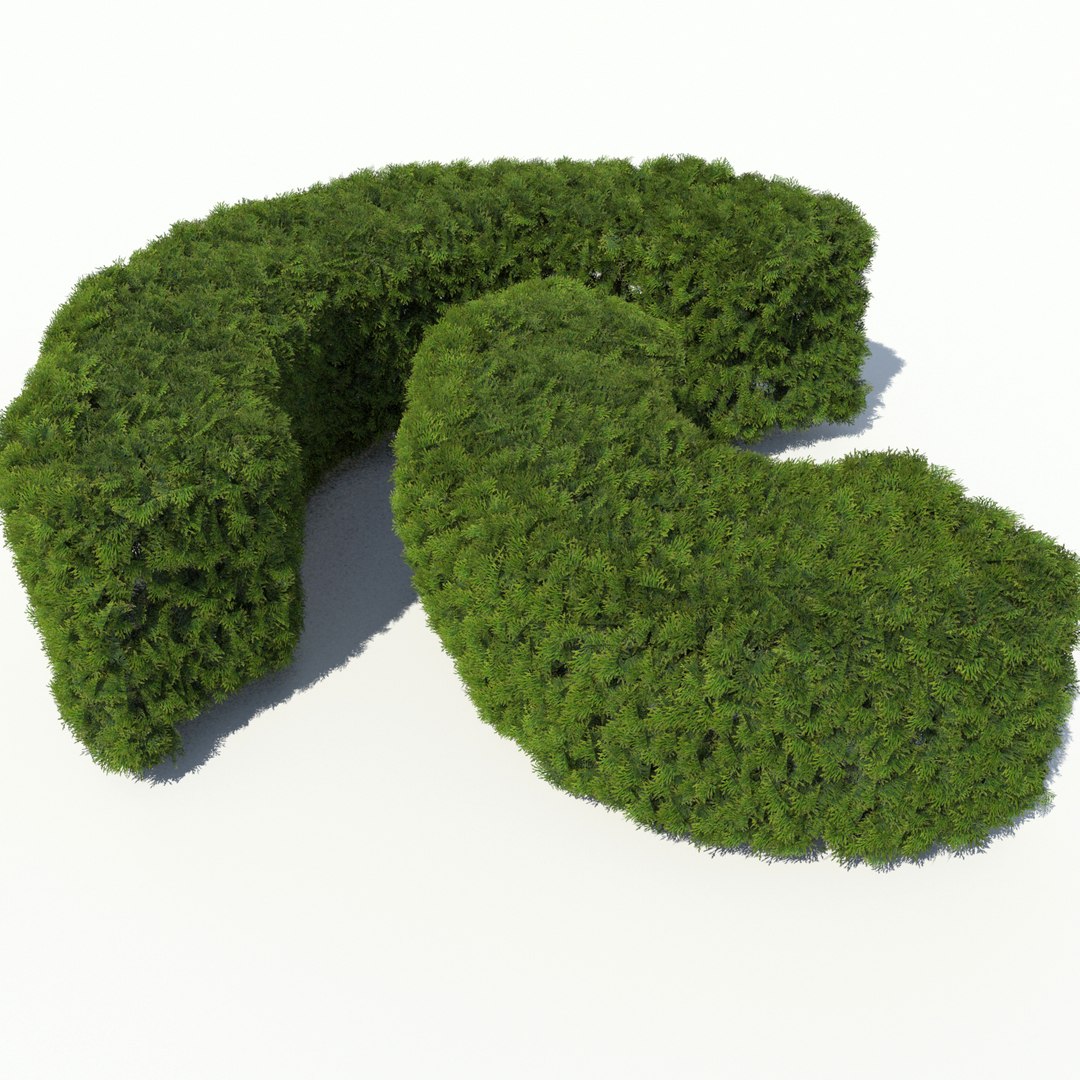 Cedar Hedge 3d Model