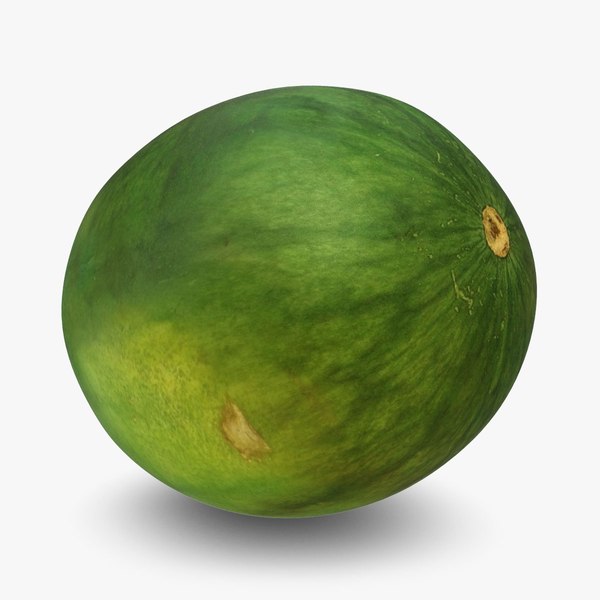 watermelon ready 3d model