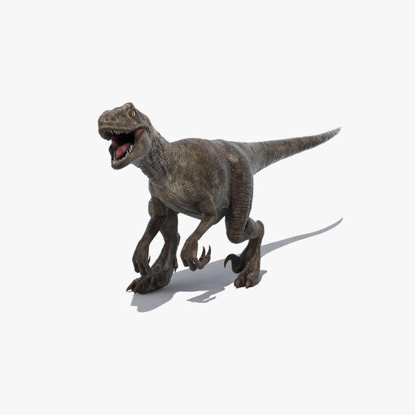 Raptor 3D Models for Download | TurboSquid
