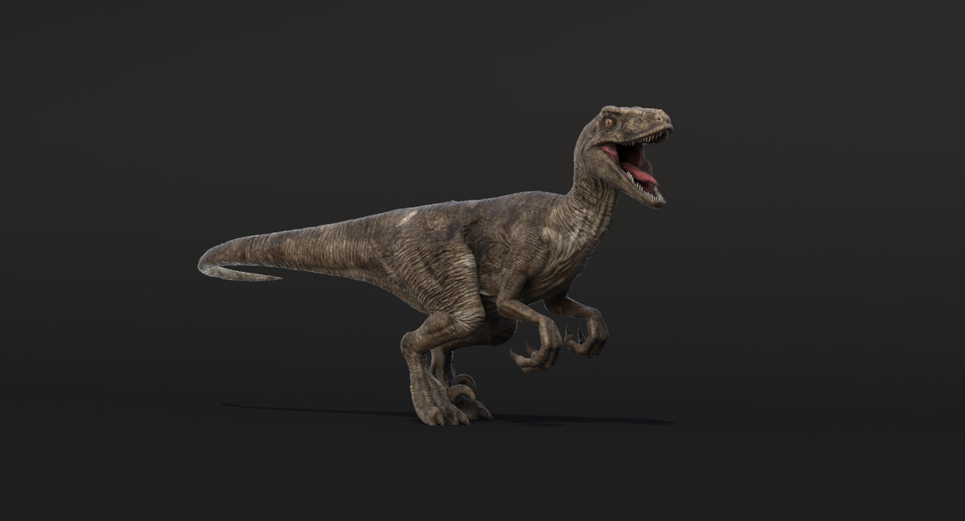 Realistic Velociraptor Raptor Animation Max