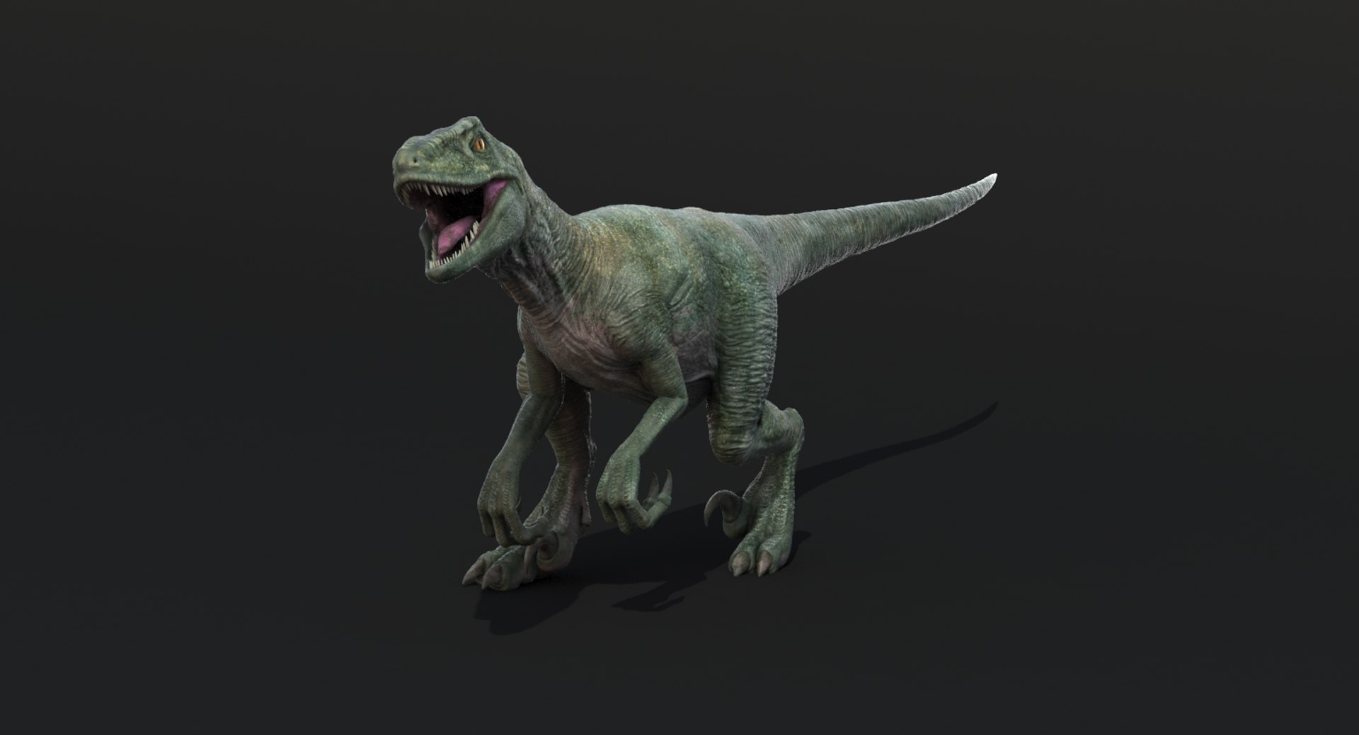 Realistic Velociraptor Raptor Animation Max