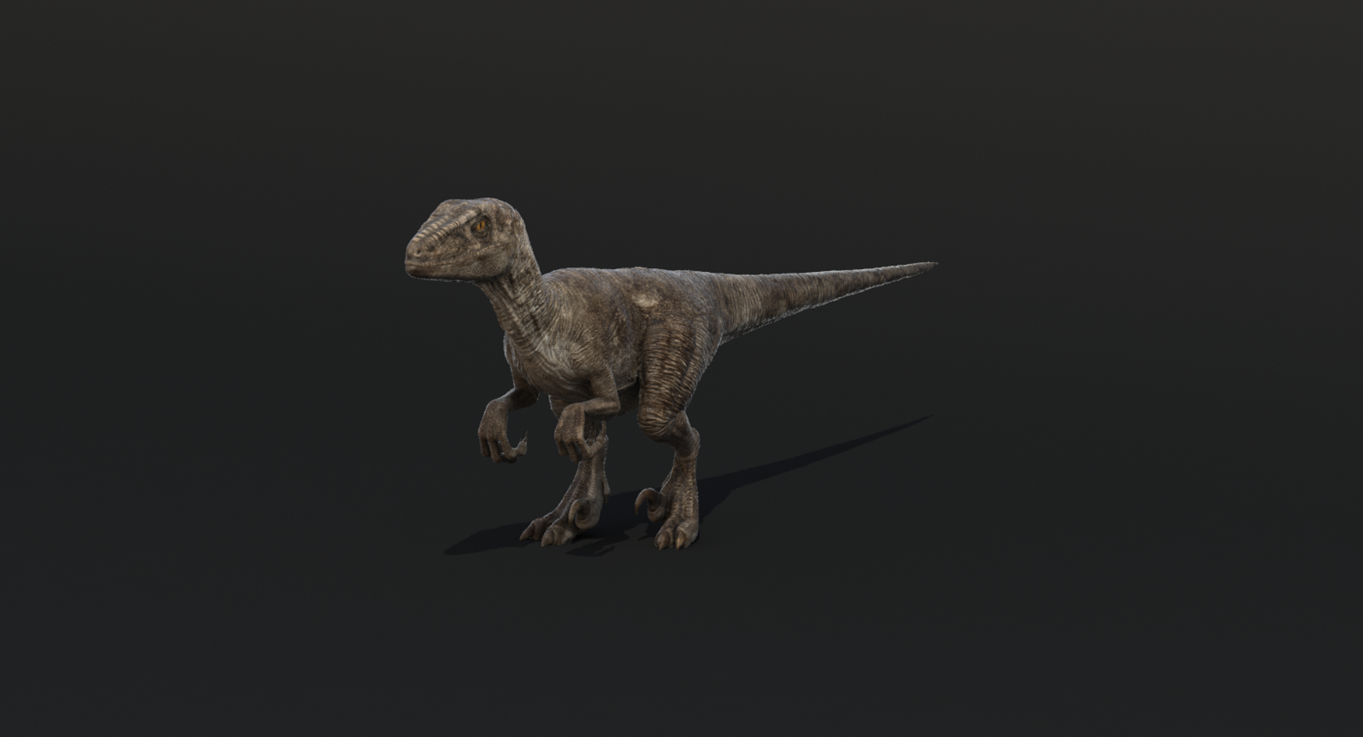 Realistic Velociraptor Raptor Animation Max